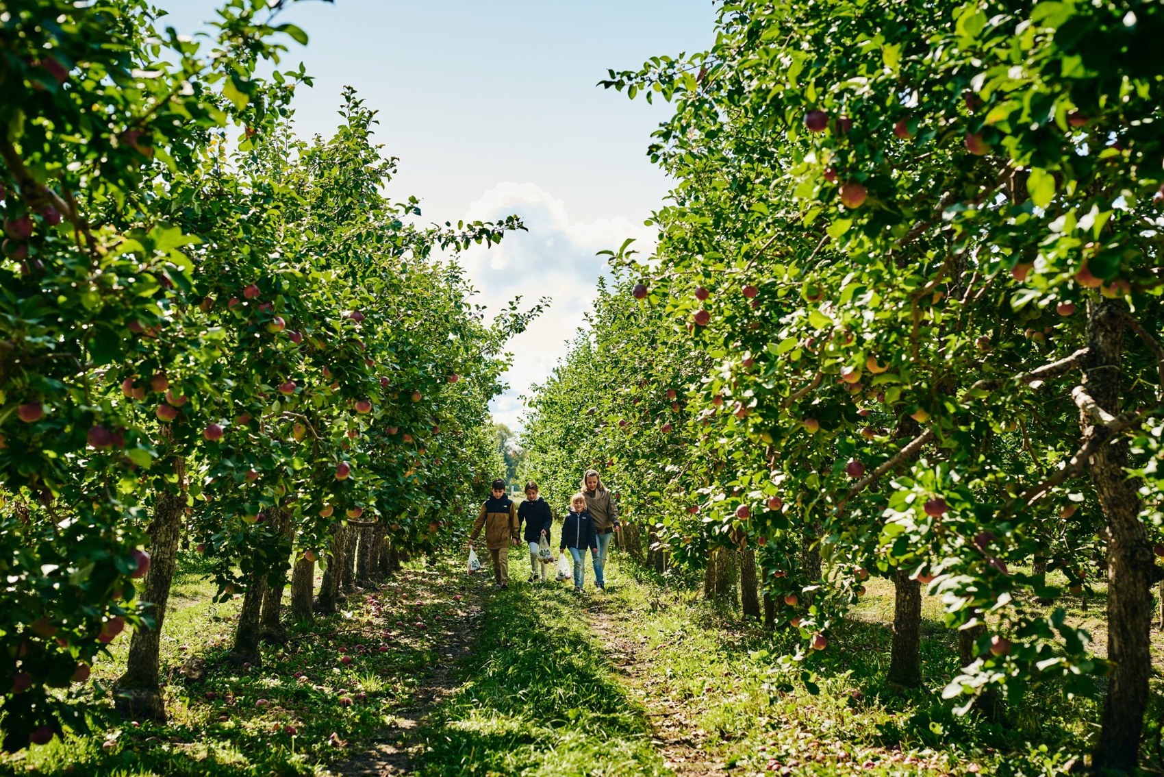 Blogs and articles | Tourism Eastern Townships